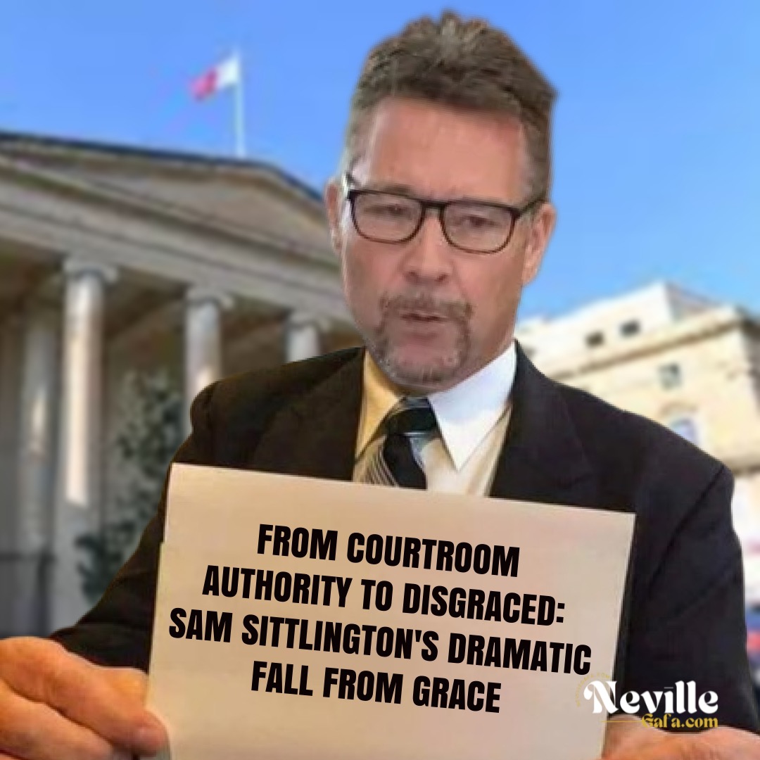 Ma jirriżultax li Jeremy Harbinson għamel xi rapport li serqulu l ...