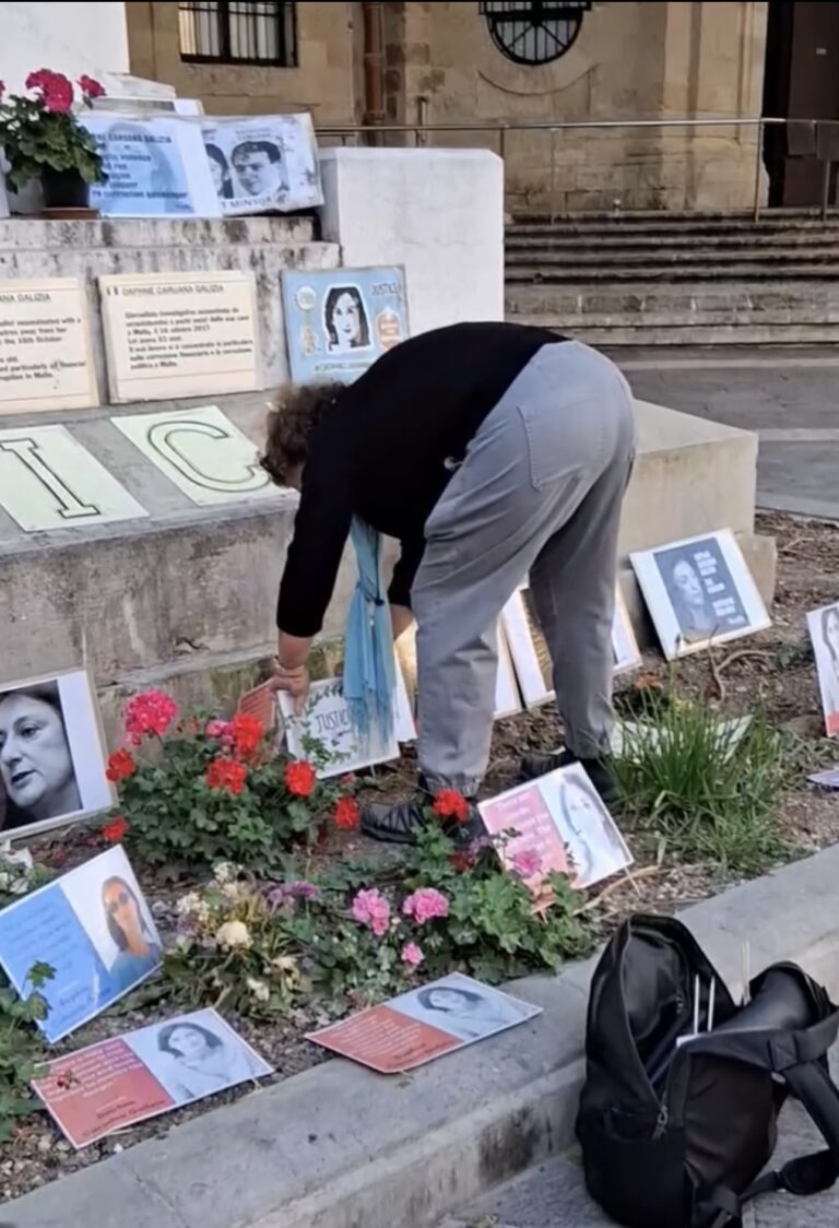 Ann Demarco: The Broom-Wielding Vigilante Who Defiles Our National ...