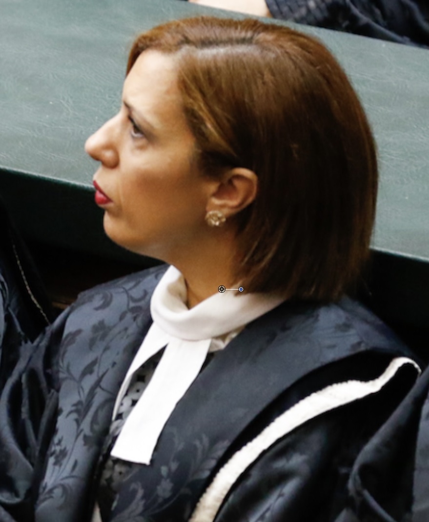 Iż-żewġ delizzji tal-Maġistrat Stafrace Zammit – Nevillegafa