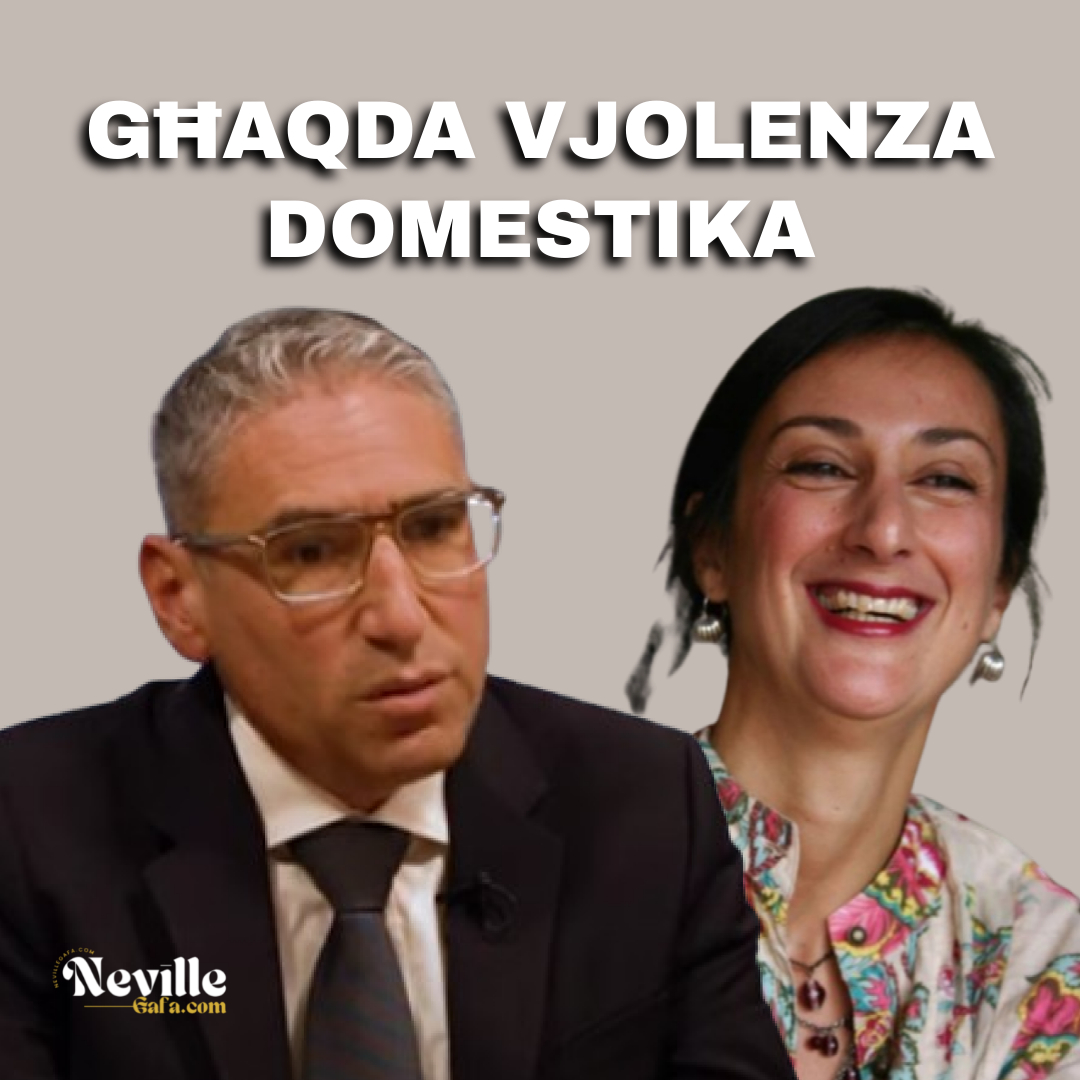 Għaqda Vjolenza Domestika – minflok imorru għand family therapist jattakkaw in-nazzjon – Nevillegafa